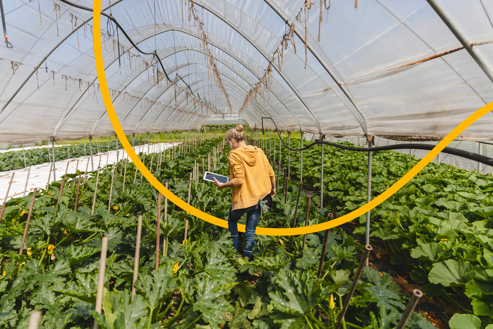 On Food Perspective | OnFoods